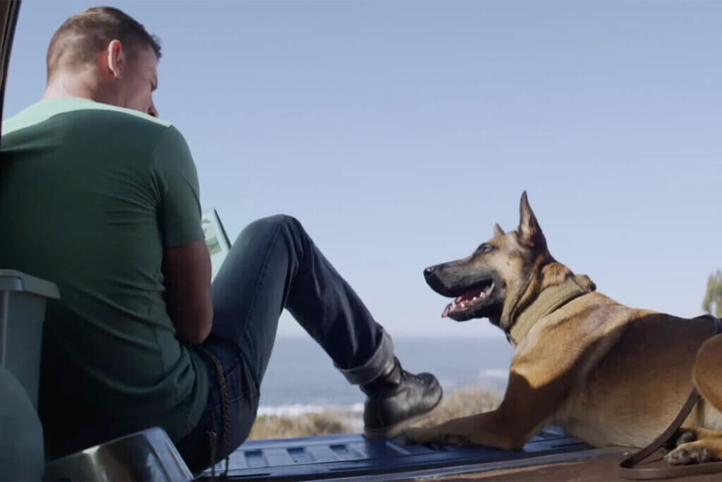 From Fido To Film: Examining The Real-Life Inspiration For The Movie "Dog"